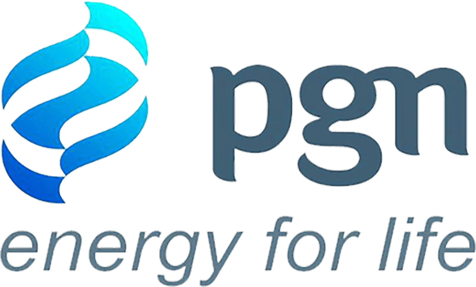 Prisma Multimedia